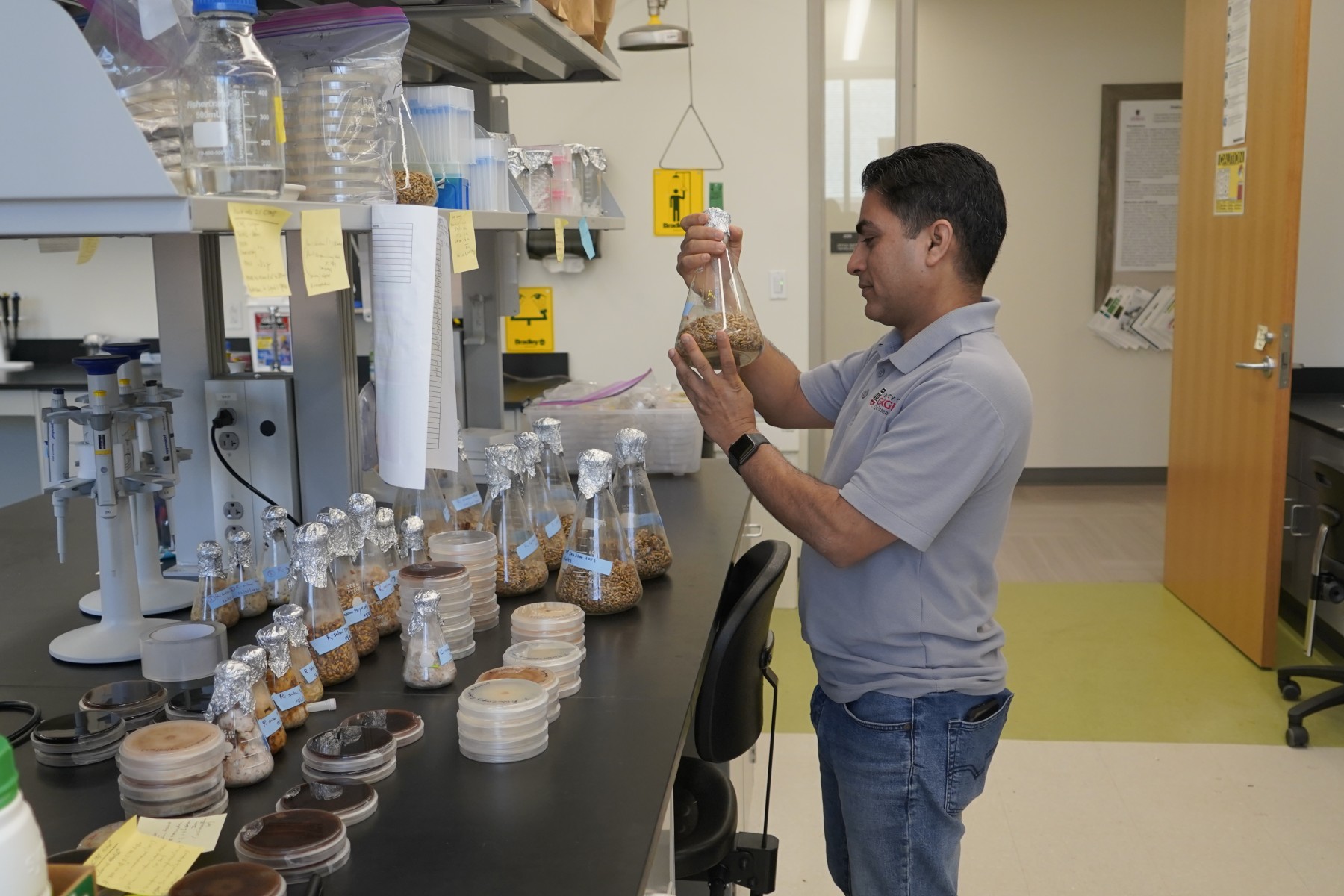 Research | Bahri Lab